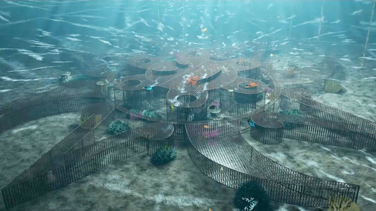 BioRock around the world – BioRocks